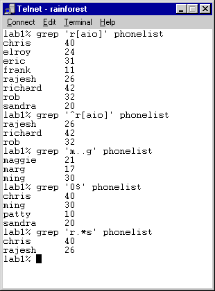 Unix Grep Command [Output] - Exercise Result